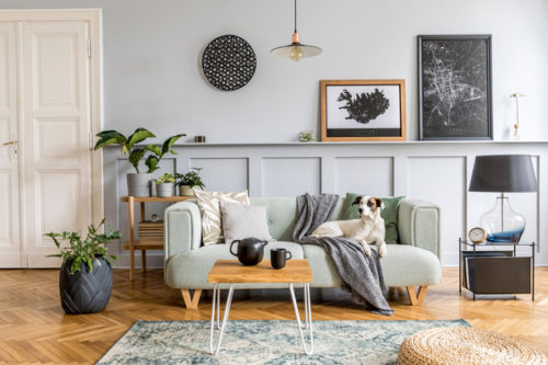 How to Accessorize Your Living Room | HSA